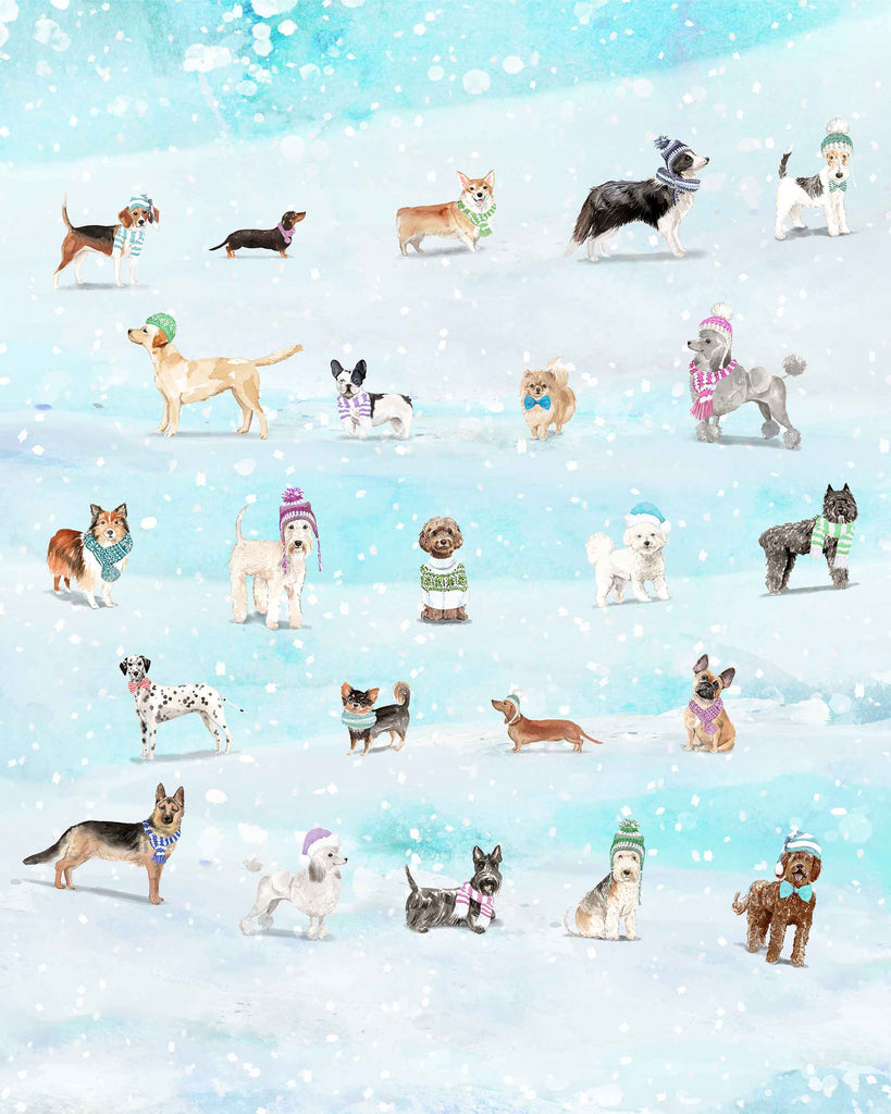 Art for nature lovers – EmilyDuvall